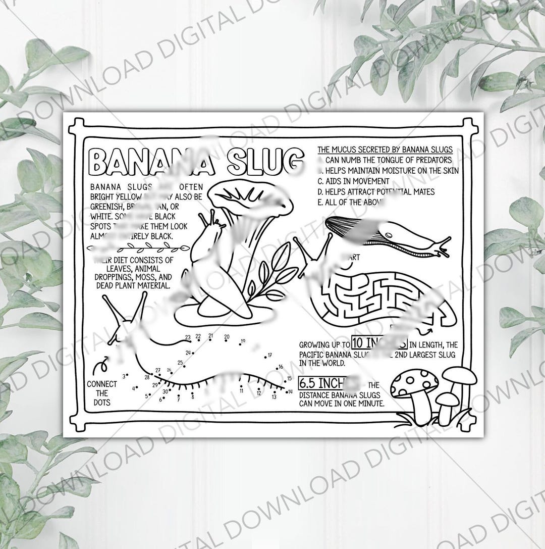 Banana Slug Activity Sheet, Banana Slug Printable, Banana Slug Coloring ...