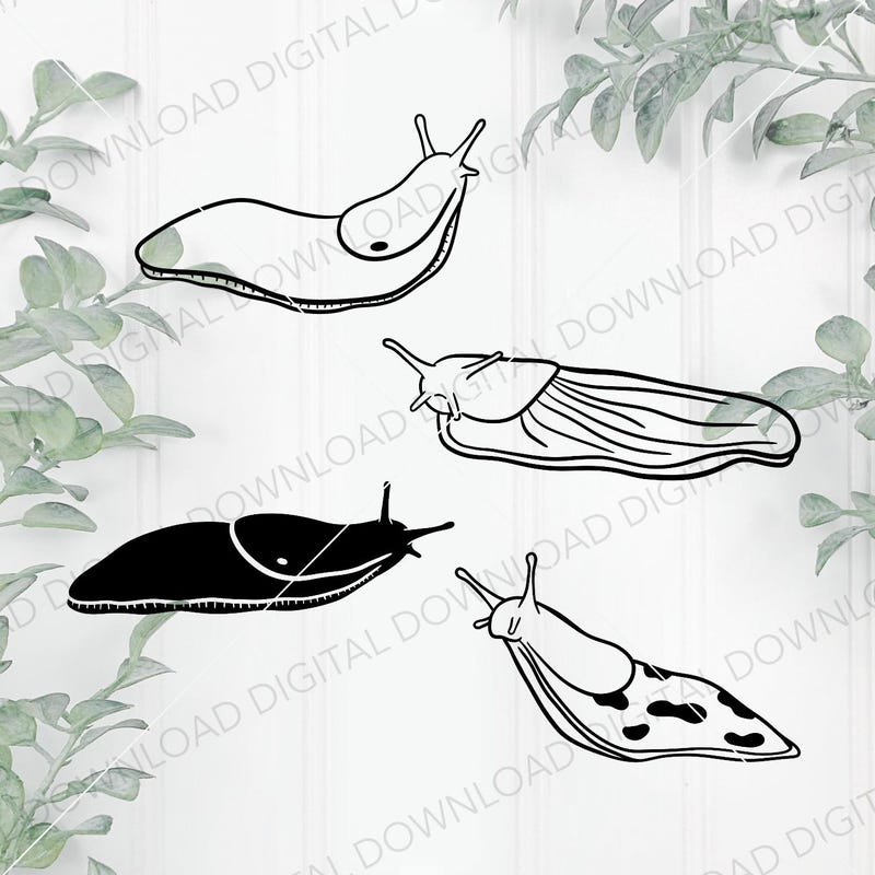 Banana Slug Drawing - Etsy