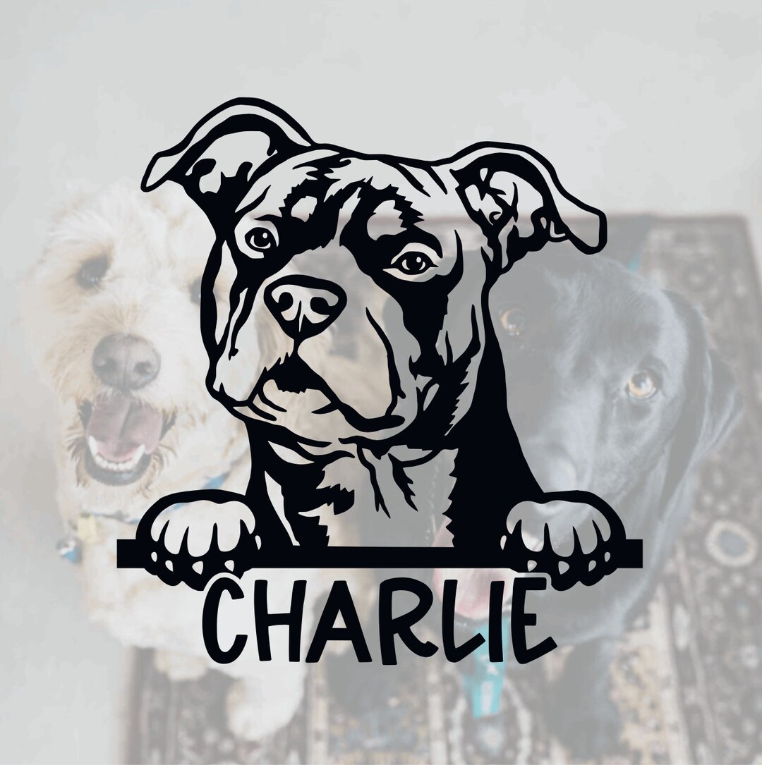 Pit Bull Decal, Personalized Dog Decal, Pit Bull Name Car Decal, Pit ...