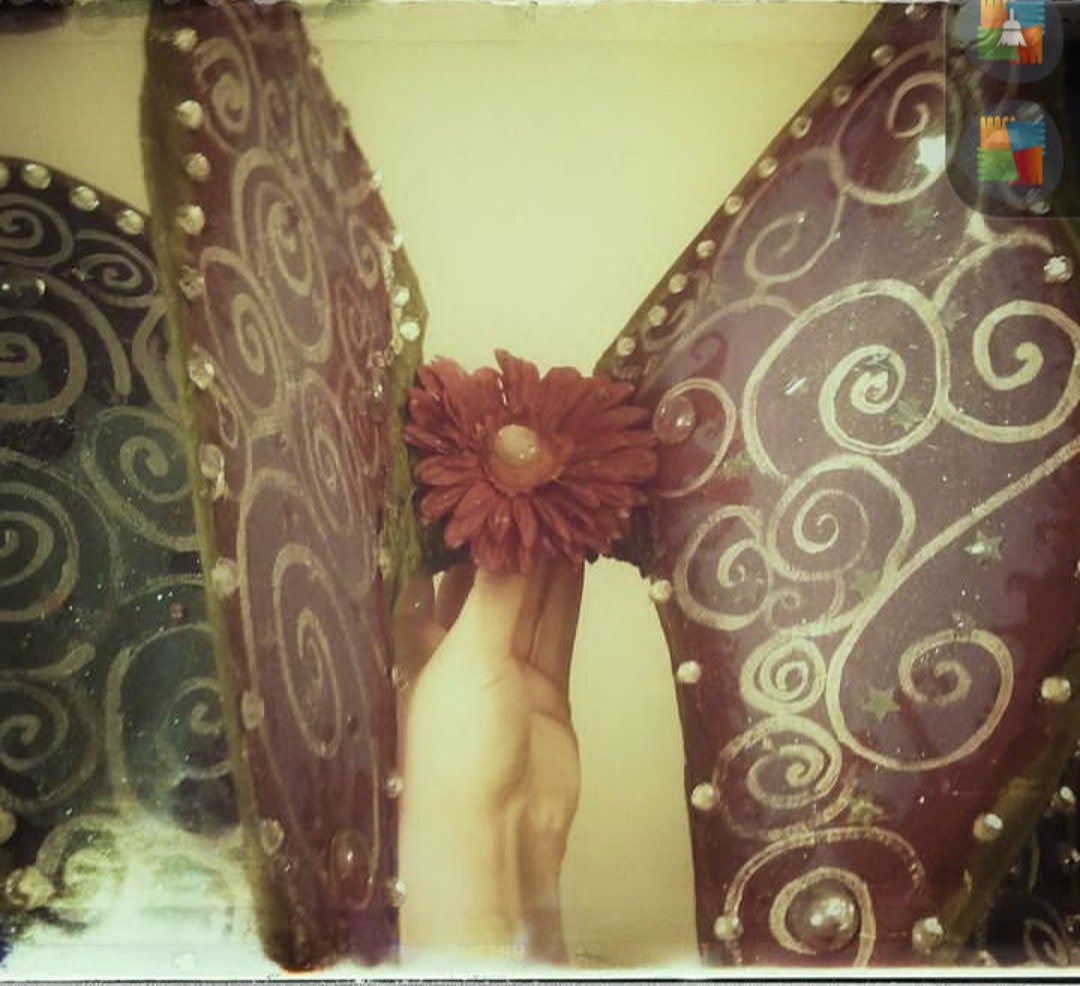 Handmade Fairy Wings - Etsy