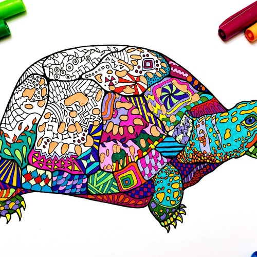 Box Turtle PDF Animal Coloring Page - Etsy