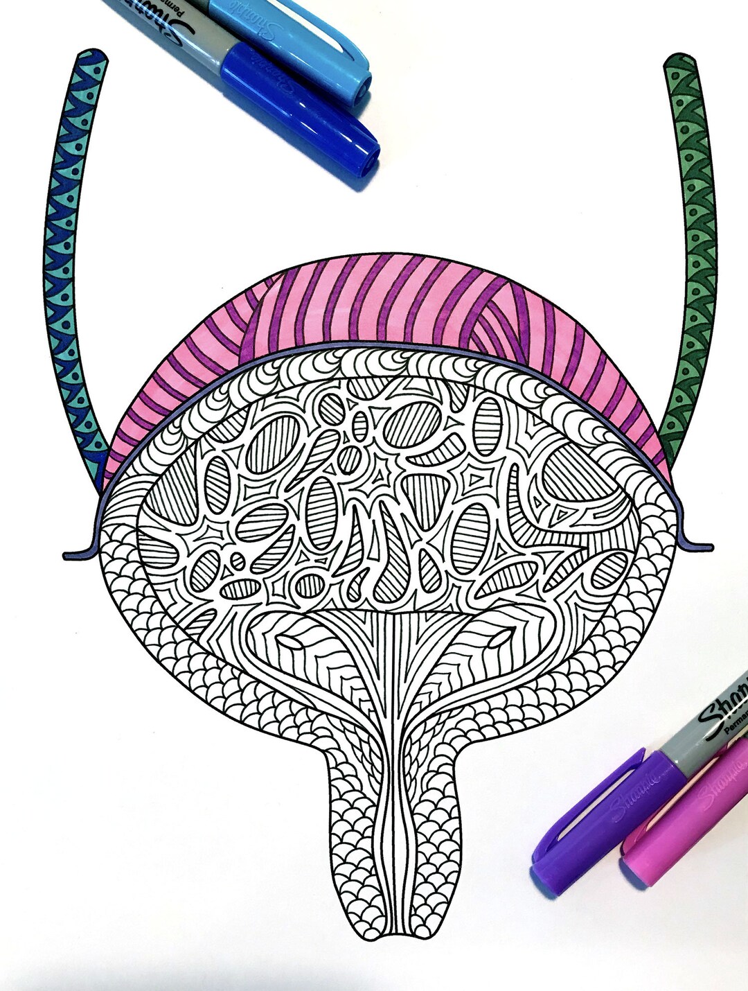 Bladder - Human Anatomy - PDF Coloring Page - Etsy