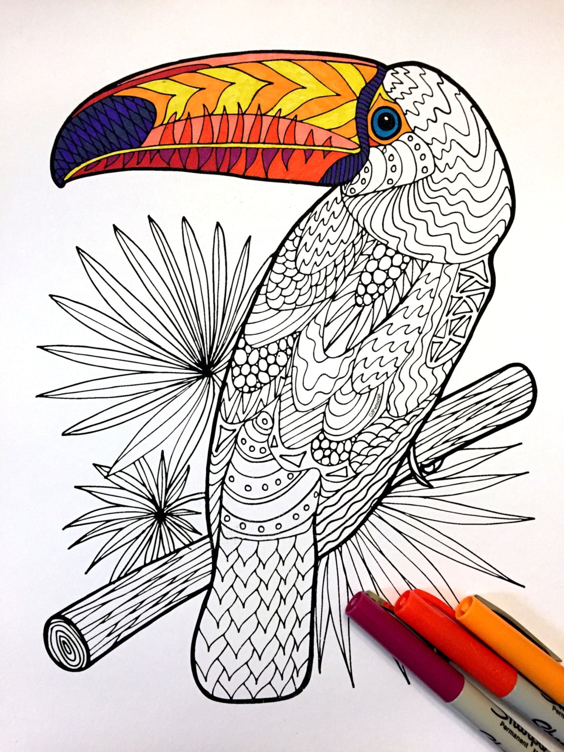 Toucan Coloring Pages