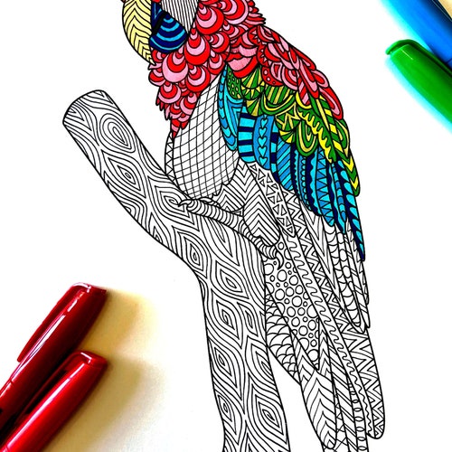 Paw Print PDF Coloring Page - Etsy Canada