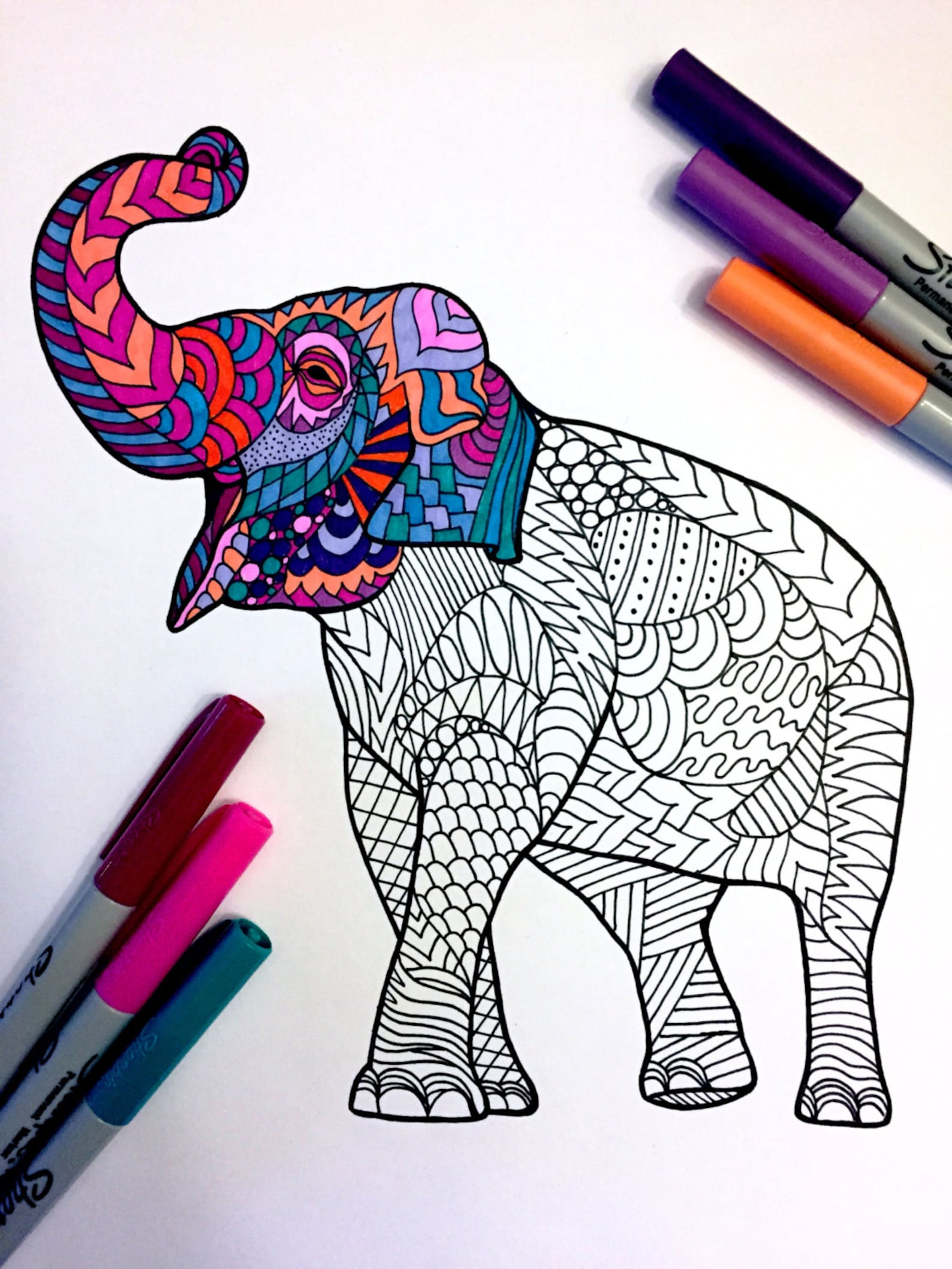 Asian Elephant - PDF Animal Coloring Page - Etsy