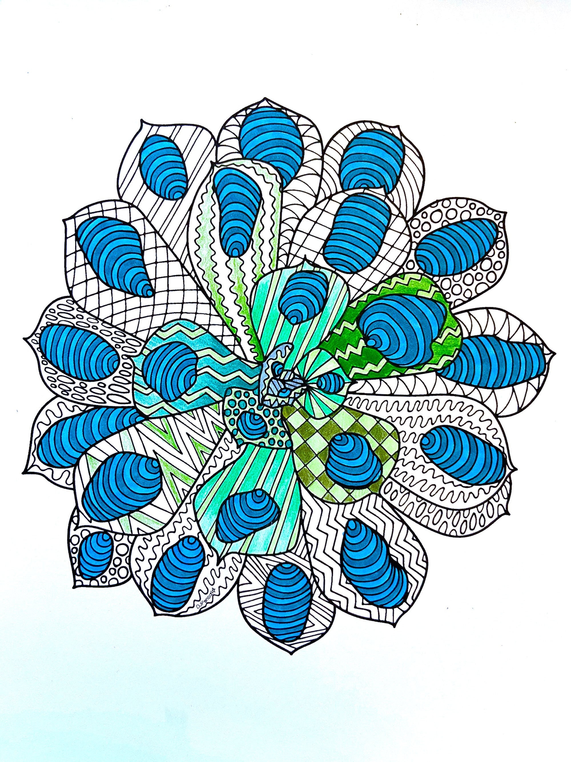 Succulent Echeveria Raindrops PDF Zentangle Coloring Page | Etsy