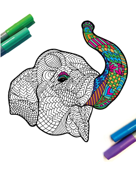 Sumatran Elephant Drawing