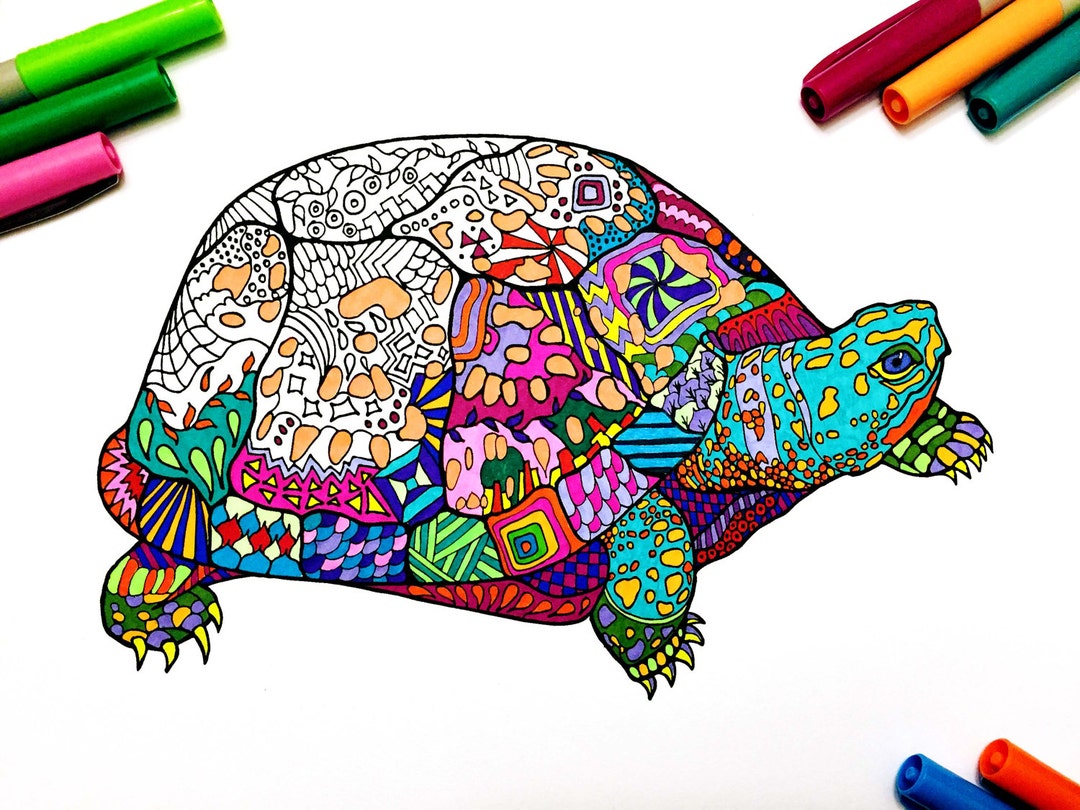 Box Turtle - PDF Animal Coloring Page - Etsy
