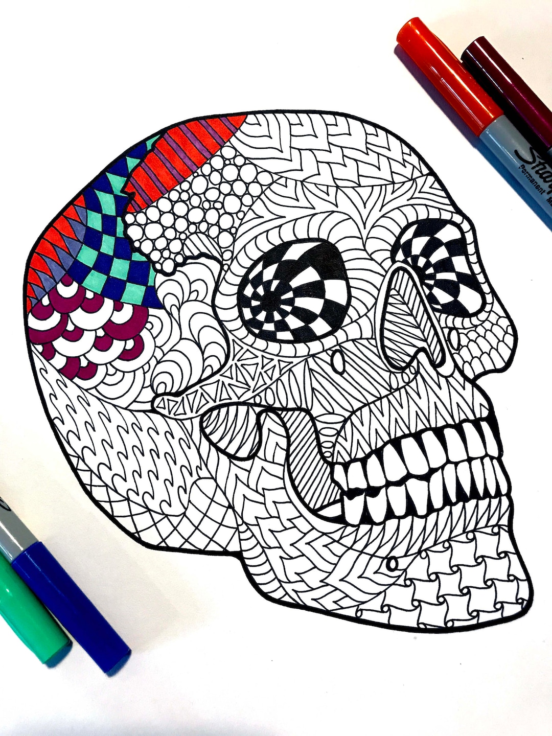 Skull - PDF Anatomy Coloring Page - Etsy