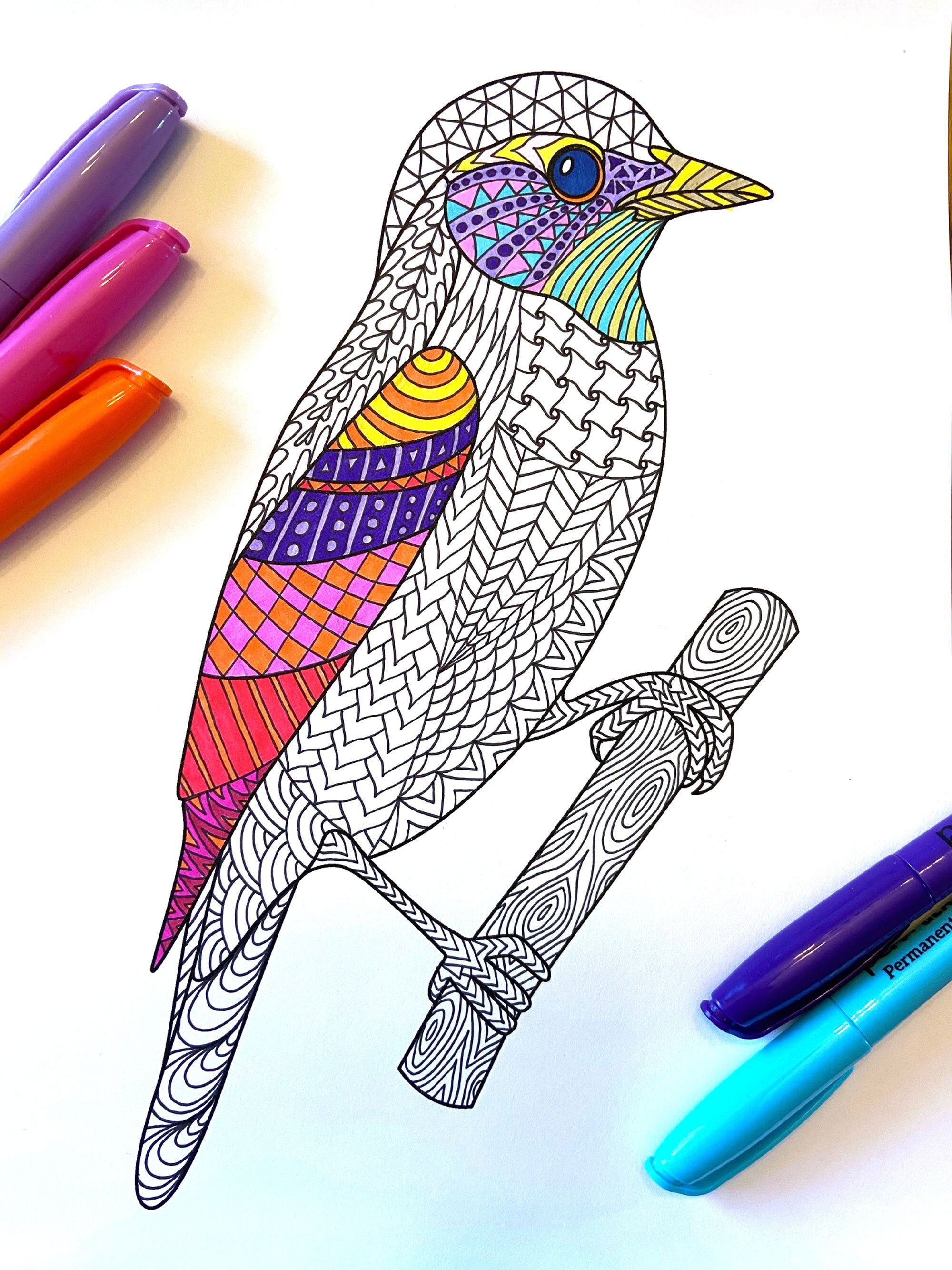 Xenops Coloring Page