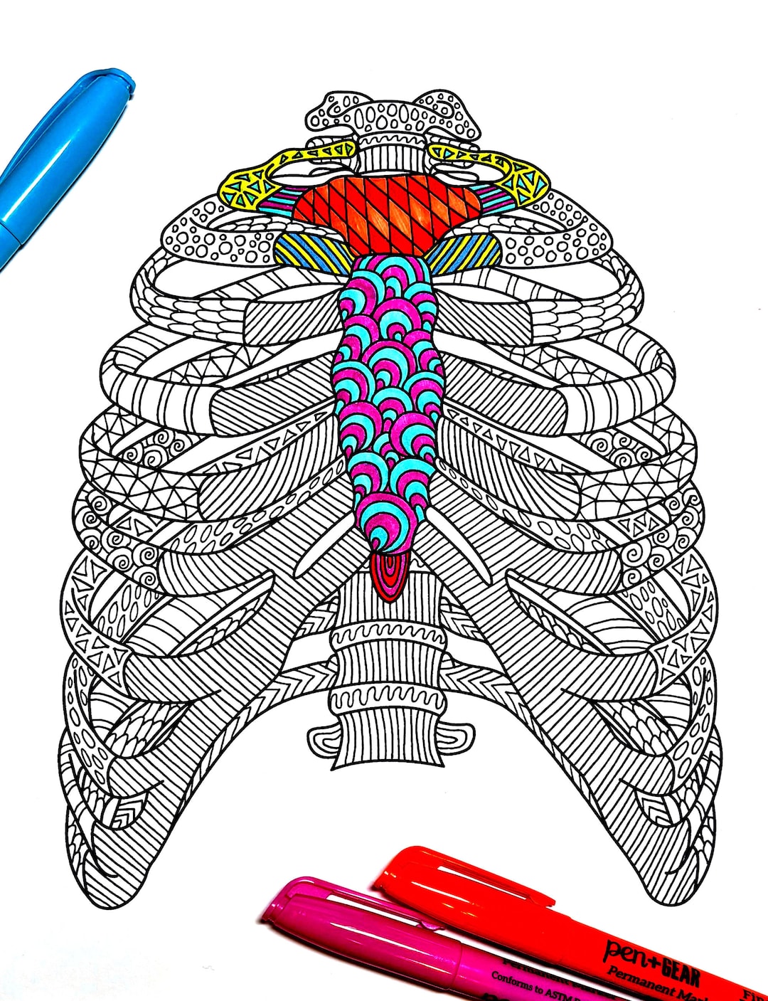 Rib Cage - Human Anatomy - PDF Coloring Page - Etsy