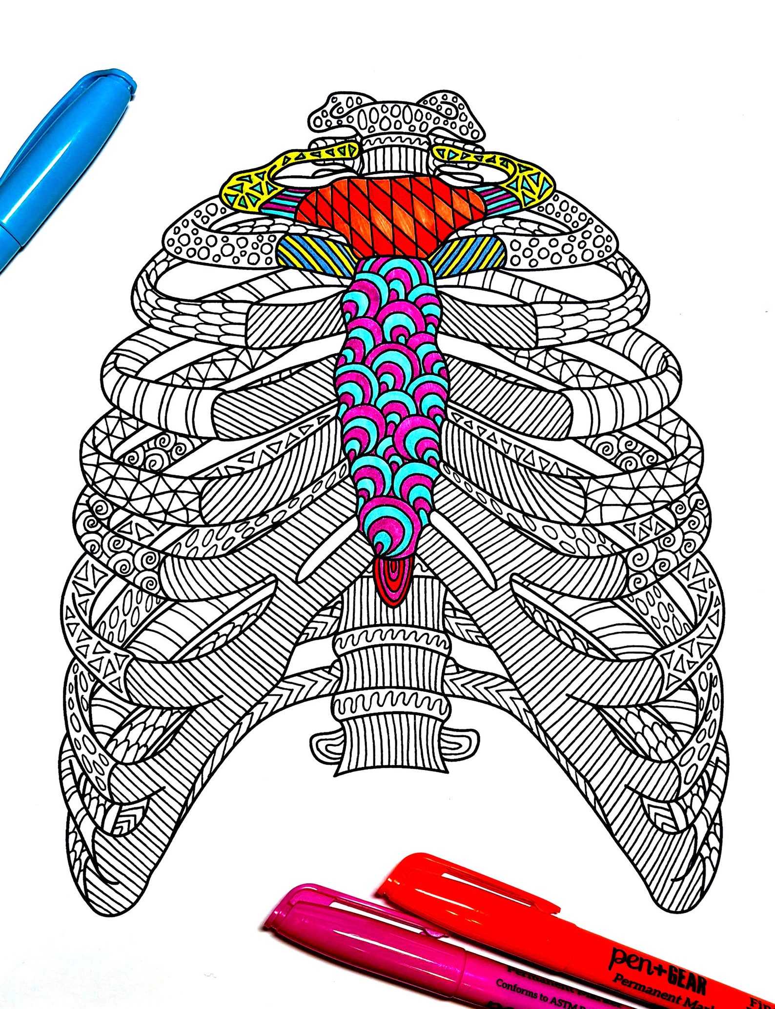 Rib Cage - Human Anatomy - PDF Coloring Page - Etsy