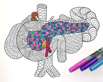 Bladder Human Anatomy PDF Coloring Page | Etsy