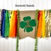 Rainbow St Patrick's Day Fabric Banner Cake Smash Banner - Etsy