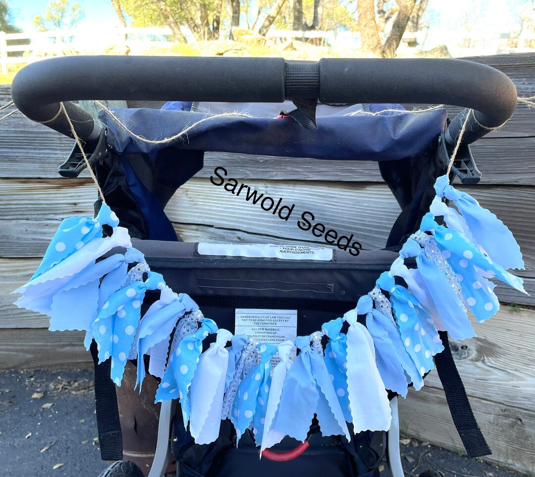 Princess Blue Stroller Banner - Etsy