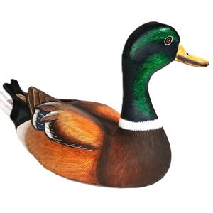 Duck Wood Carving, (mallard) Sculpture Number Dkml9.5. - Etsy