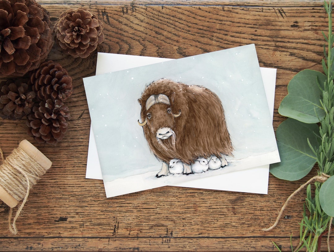 Musk Ox Christmas Card 5x7 'hinterland' - Etsy Canada