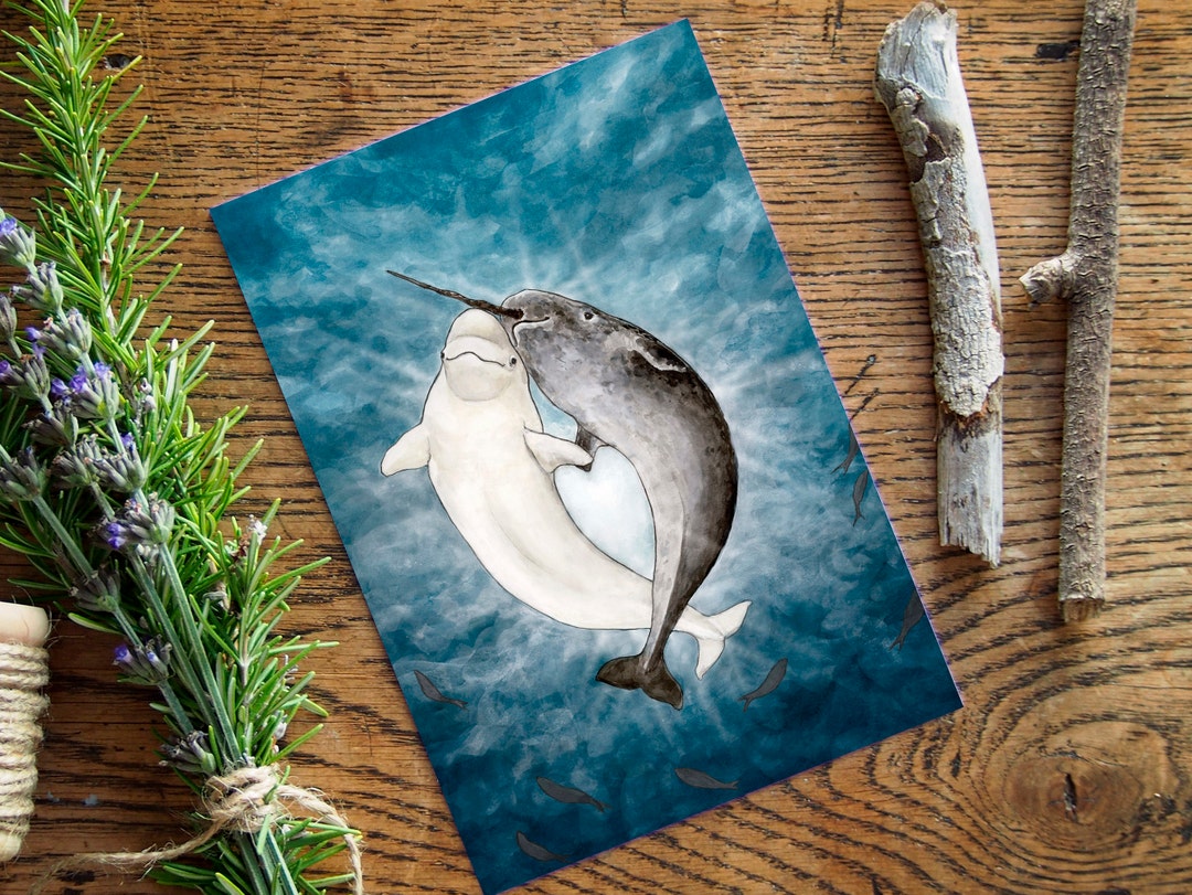 Beluga Narwhal Card - Card for Friend - Card for Partner - Weddings ...