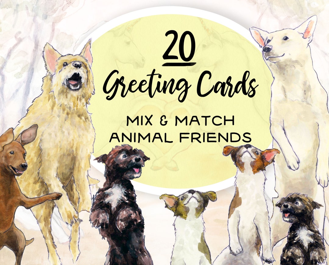 Animal Greeting Card Set 20 - You Choose! Assorted Bulk All Occasion ...