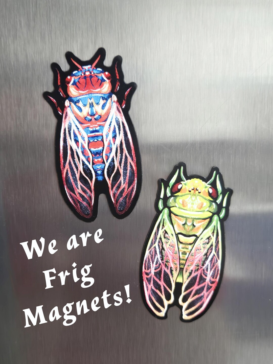 Cicada Frig Magnets, Set of 2, Attach to Metal Surfaces, Kitchen Decor ...