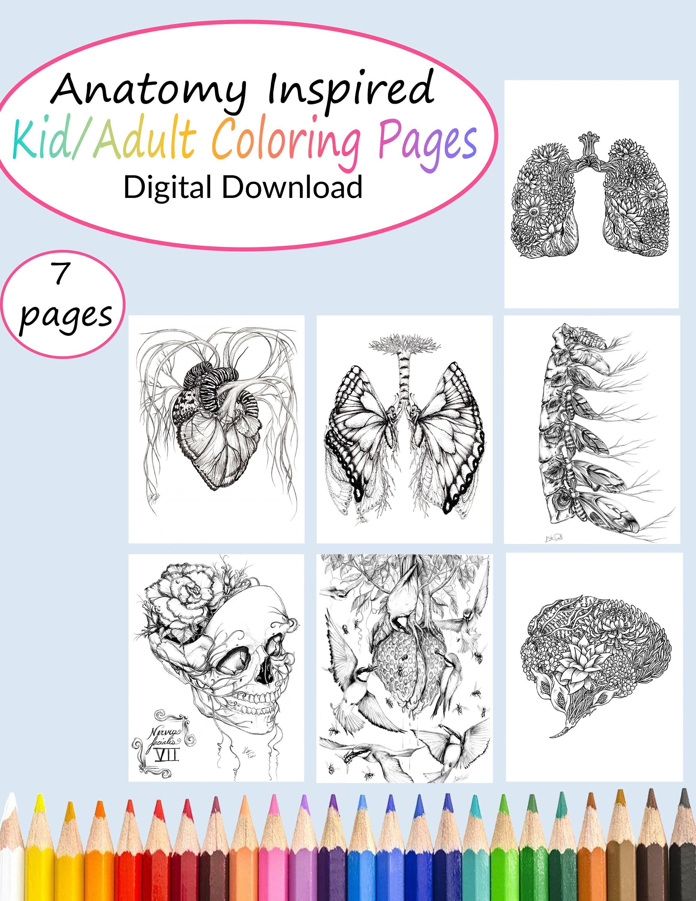 Anatomy For Kids Coloring Pages Anatomy For Kids Coloring Pages