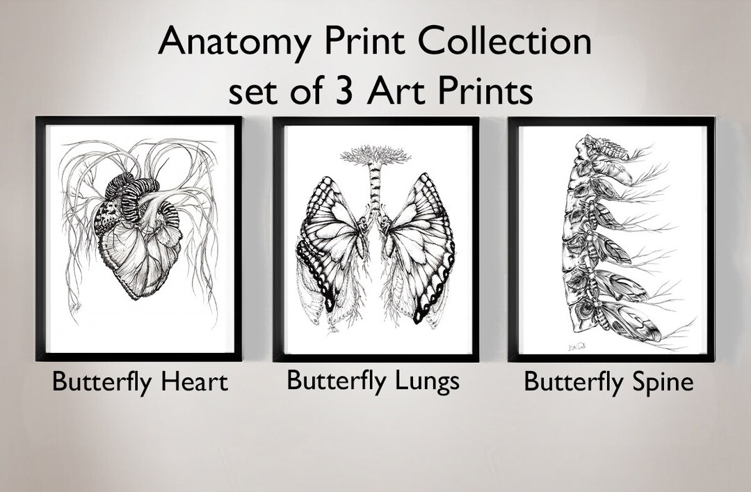 Heart, Lung, Spine Butterfly Anatomy Art Prints, Set of 3 Wall Art ...