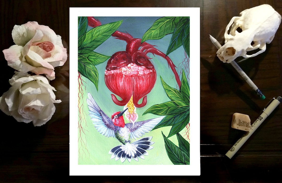 Bleeding Heart Hummingbird, 8.5x11 Inch or 5x7 Inch Art Print - Etsy