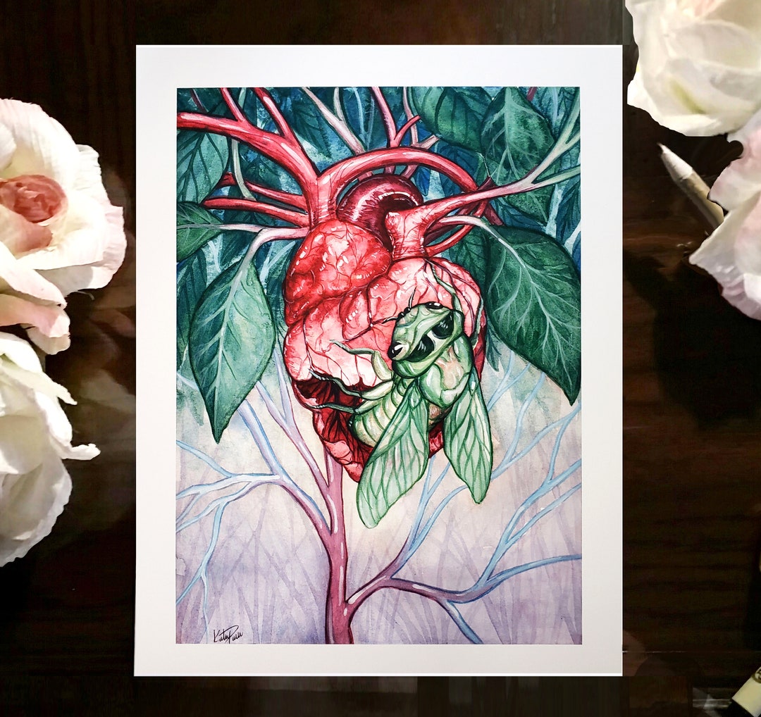 Cicada Heart | Art Print | 8.5x11 or 5x7 - Etsy