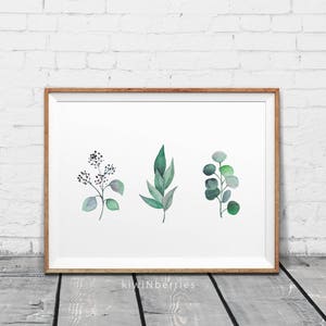 Eucalyptus Print - Eucalyptus Branches - Eucalyptus Printable ...