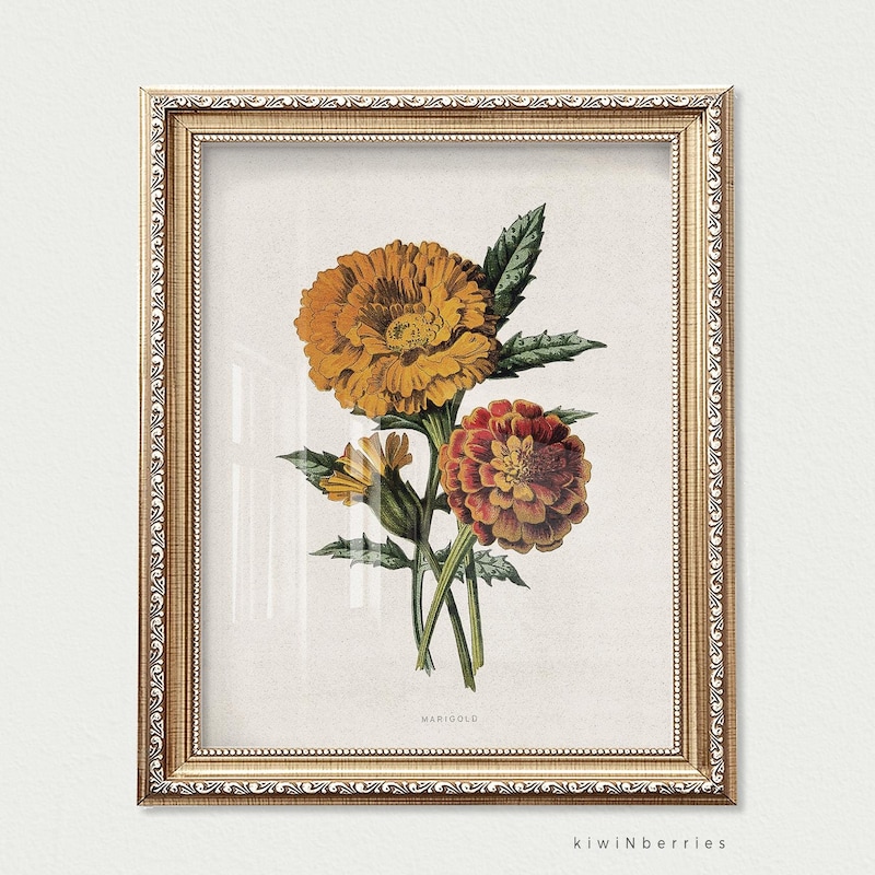 Marigold Print - Etsy