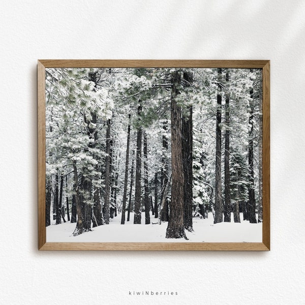 Nordic Holiday Decor - Etsy