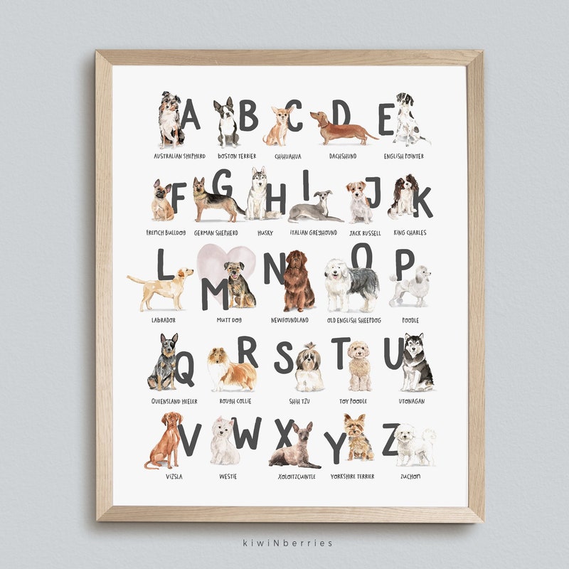 Dog Breeds Poster - Etsy