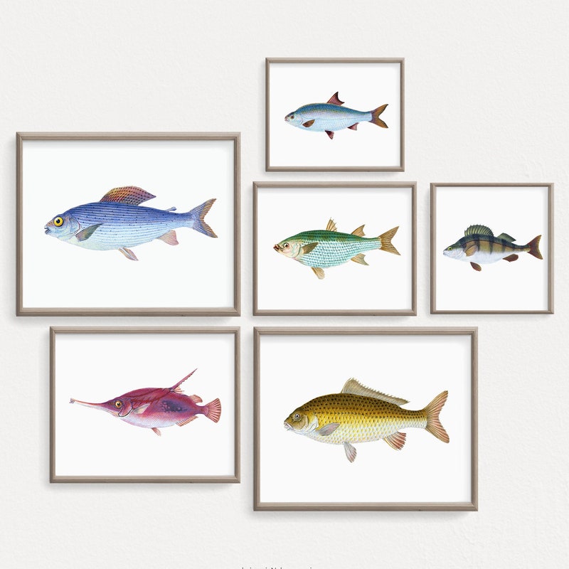 Saltwater Fish Art - Etsy