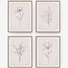 Line Art Prints Botanical Line Art Botanical Prints Blush - Etsy