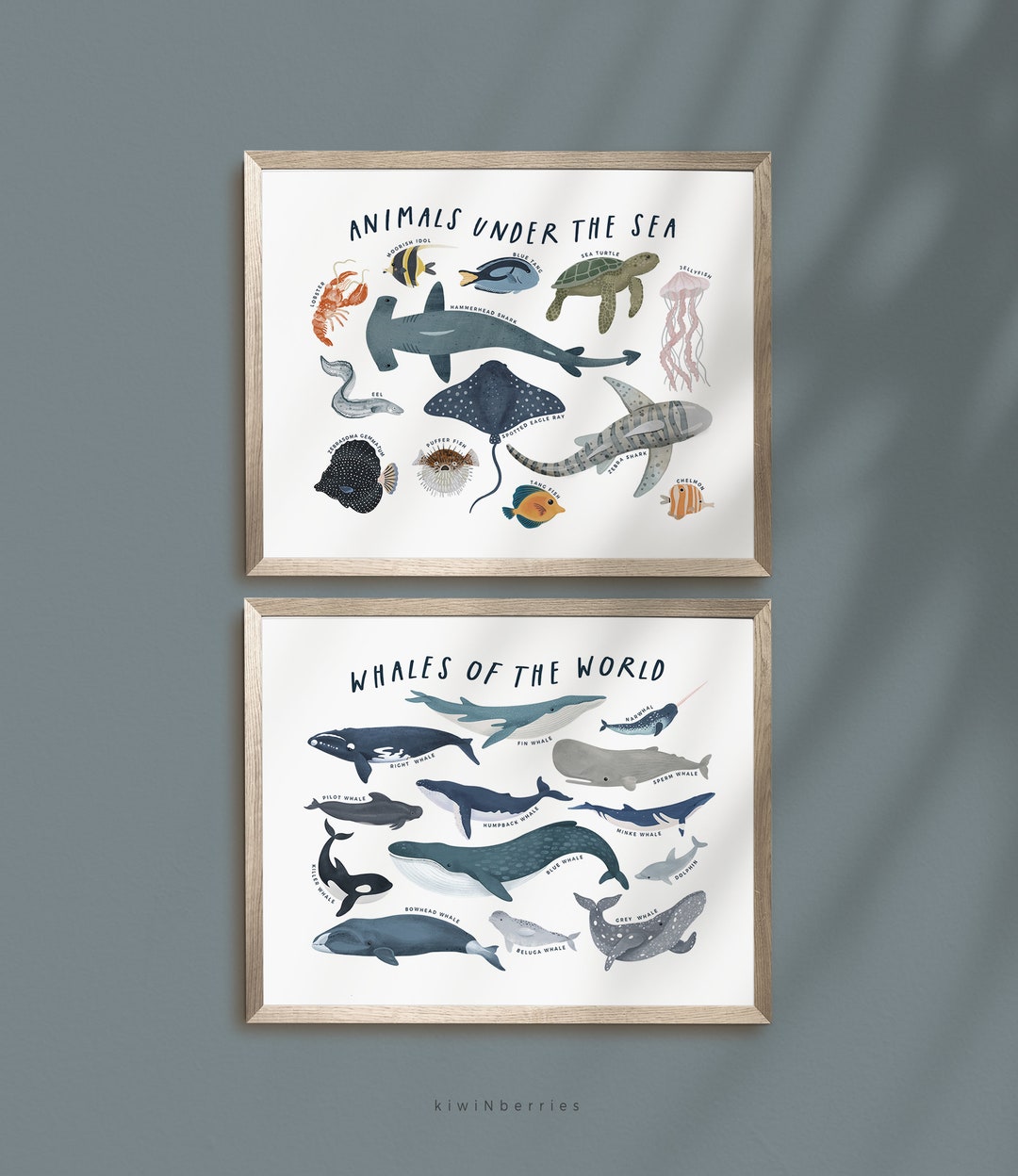 Whales of the World Wall Art, Nautical Home Decor, Ocean Animals Prints ...