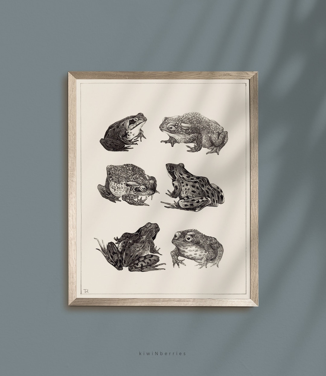 Toads Poster Printable, Toad Wall Art, Halloween Decor, Vintage Rustic ...