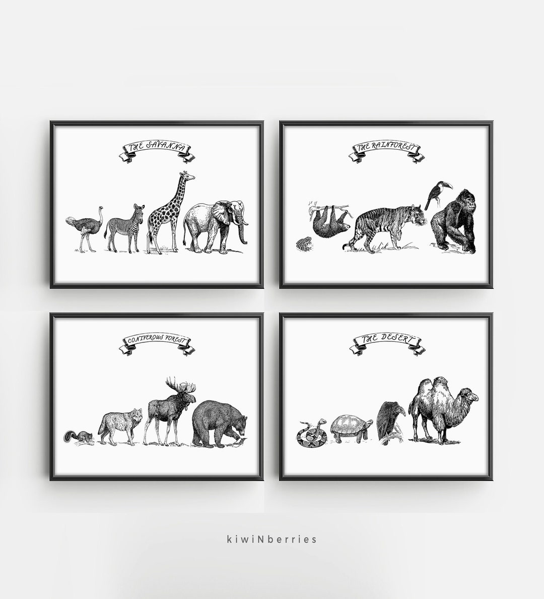 Black and White Animal Prints, the Animal Habitats, Printables for Kids ...