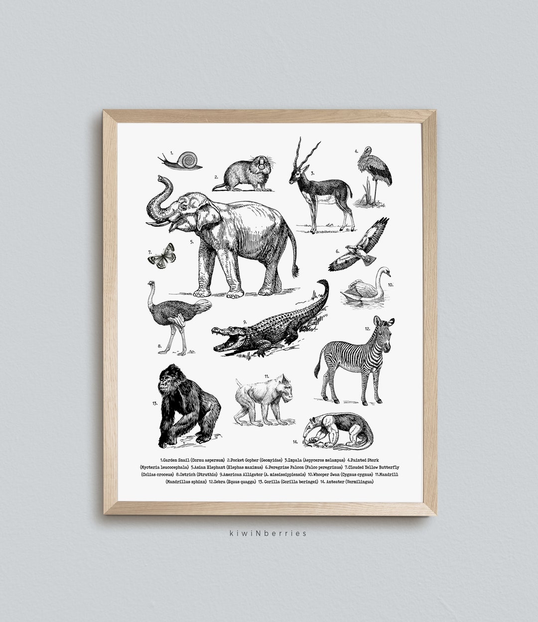 Wild Animals Chart Print, Sketchy Black and White, Outdoors Camping ...