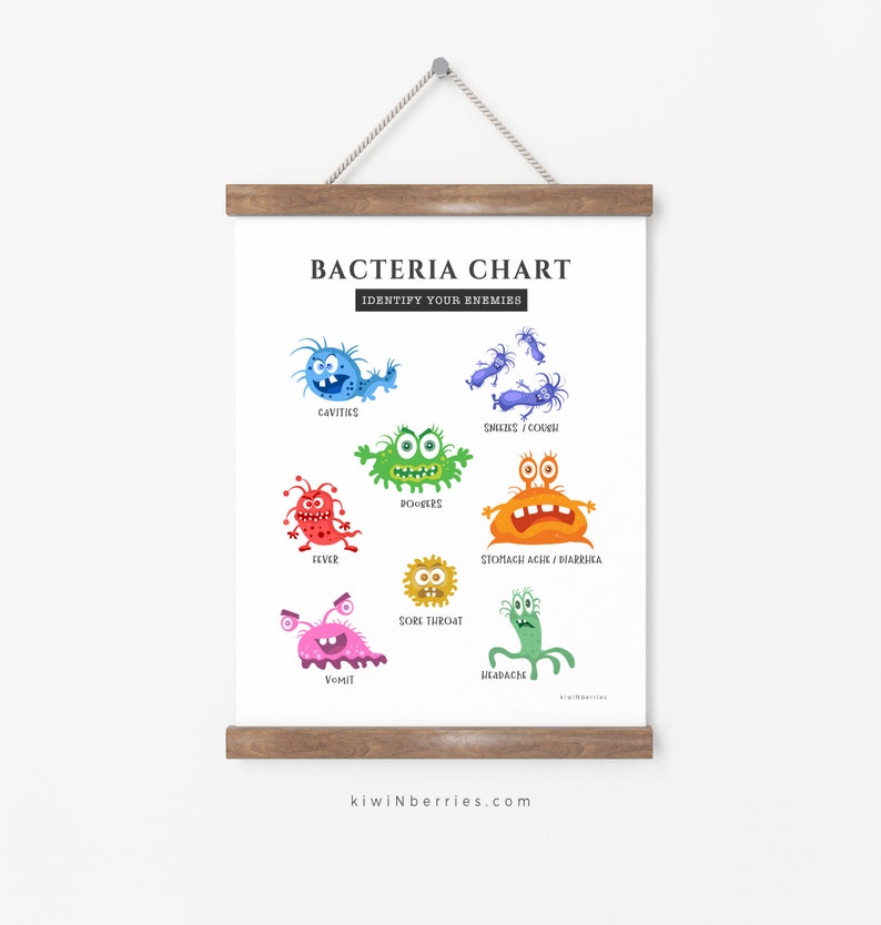 Bacteria Awareness for Kids Print Fun Educational Prints - Etsy