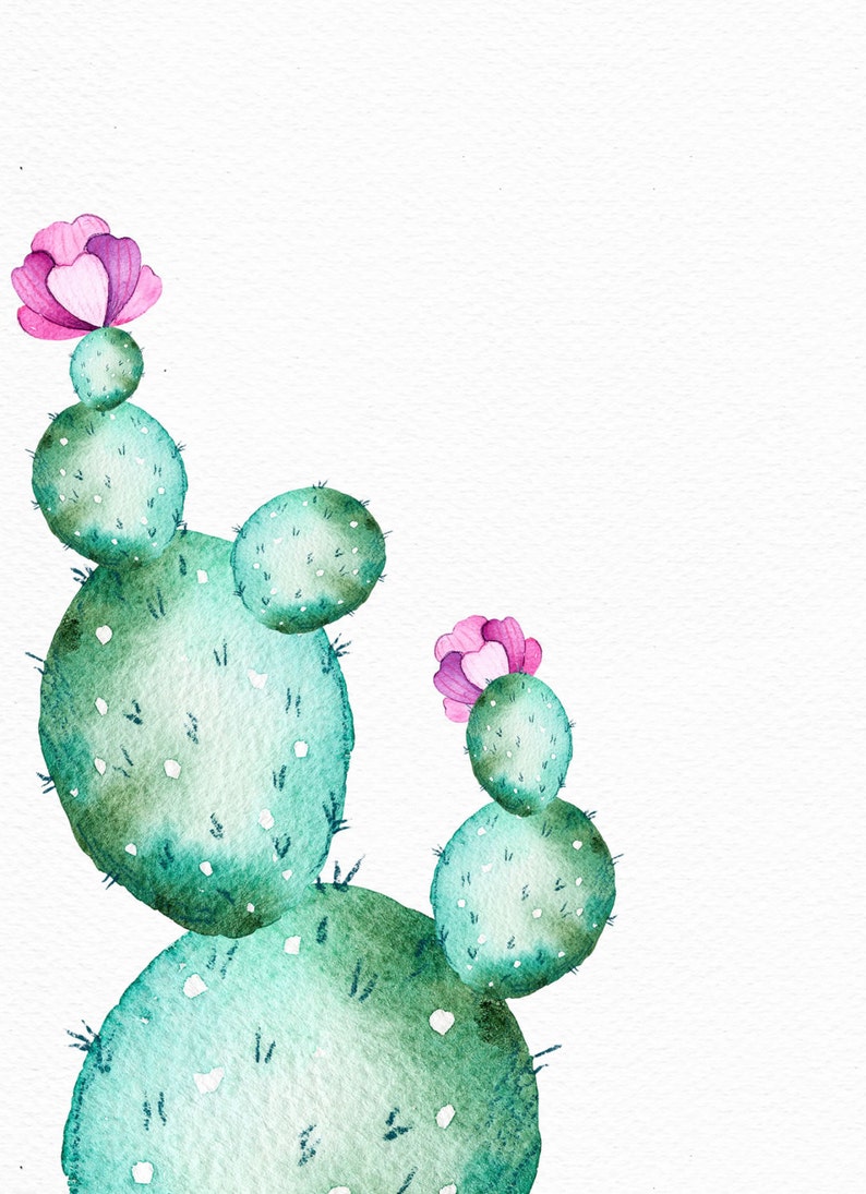 Cactus Print Set Printable Cactus Set of 4 Botanical - Etsy