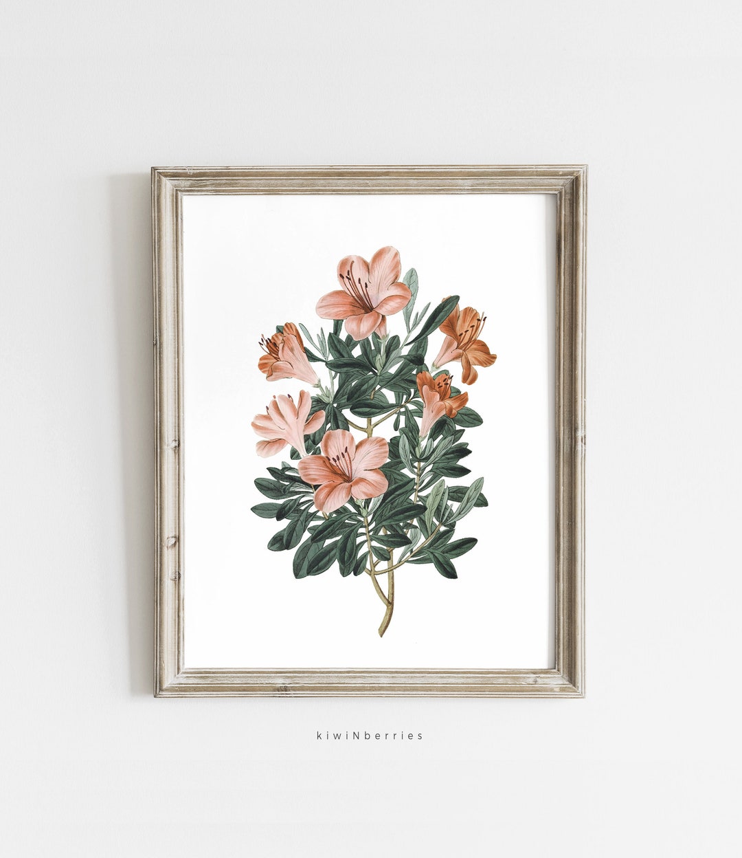 Orange Azalea Print, Antique Printables, Azalea Flower Poster, Muted ...