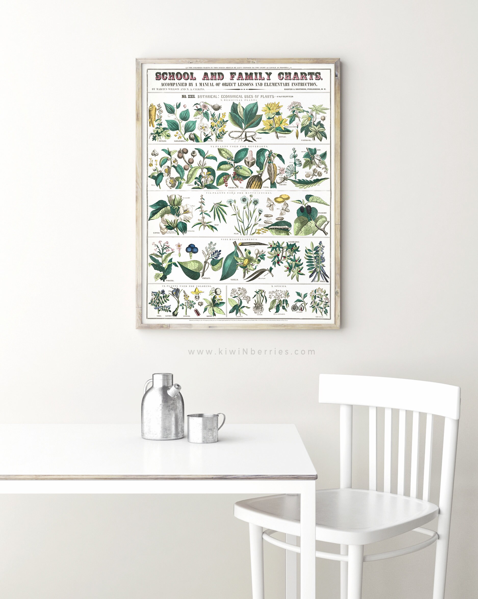 Vintage Botanical Chart Plant Chart Print Botanical Poster - Etsy