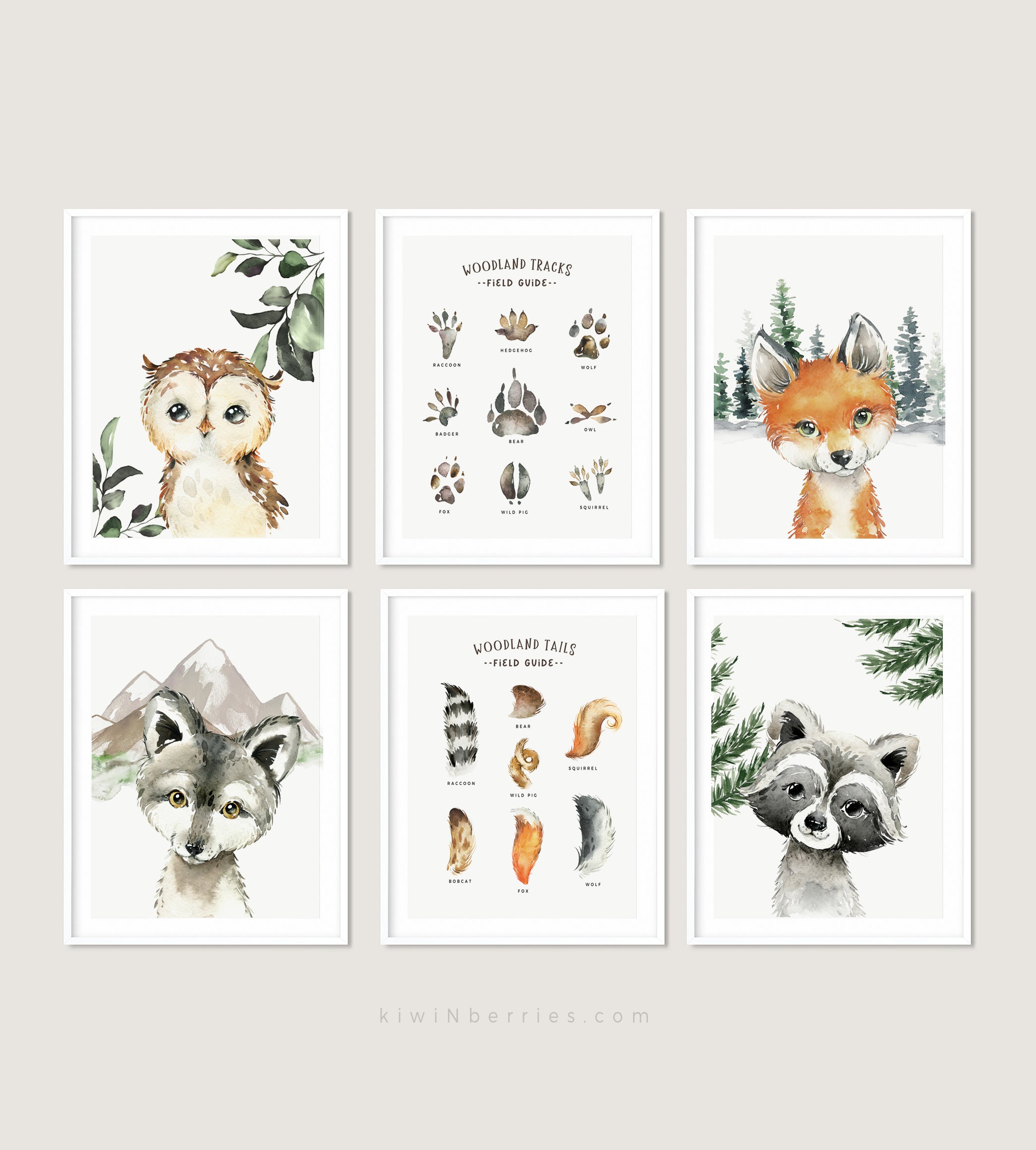 forest field guide Animals tracks Watercolor clipart forest animal ...
