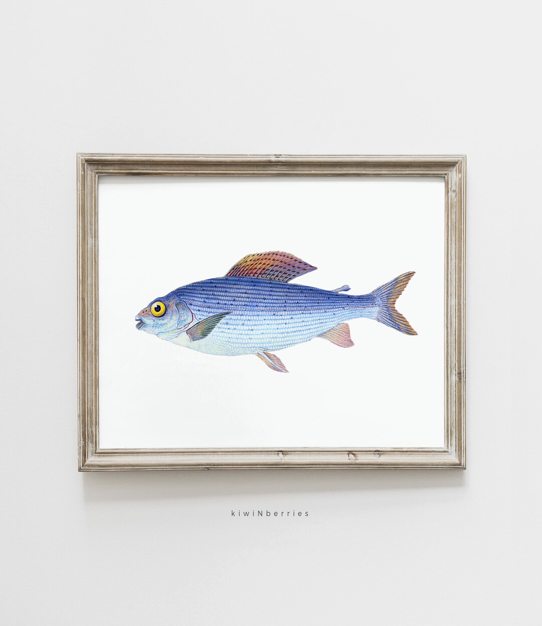 Blue Fish Print, Printable Fishing Gift, Vintage Fish Drawing, Nature ...