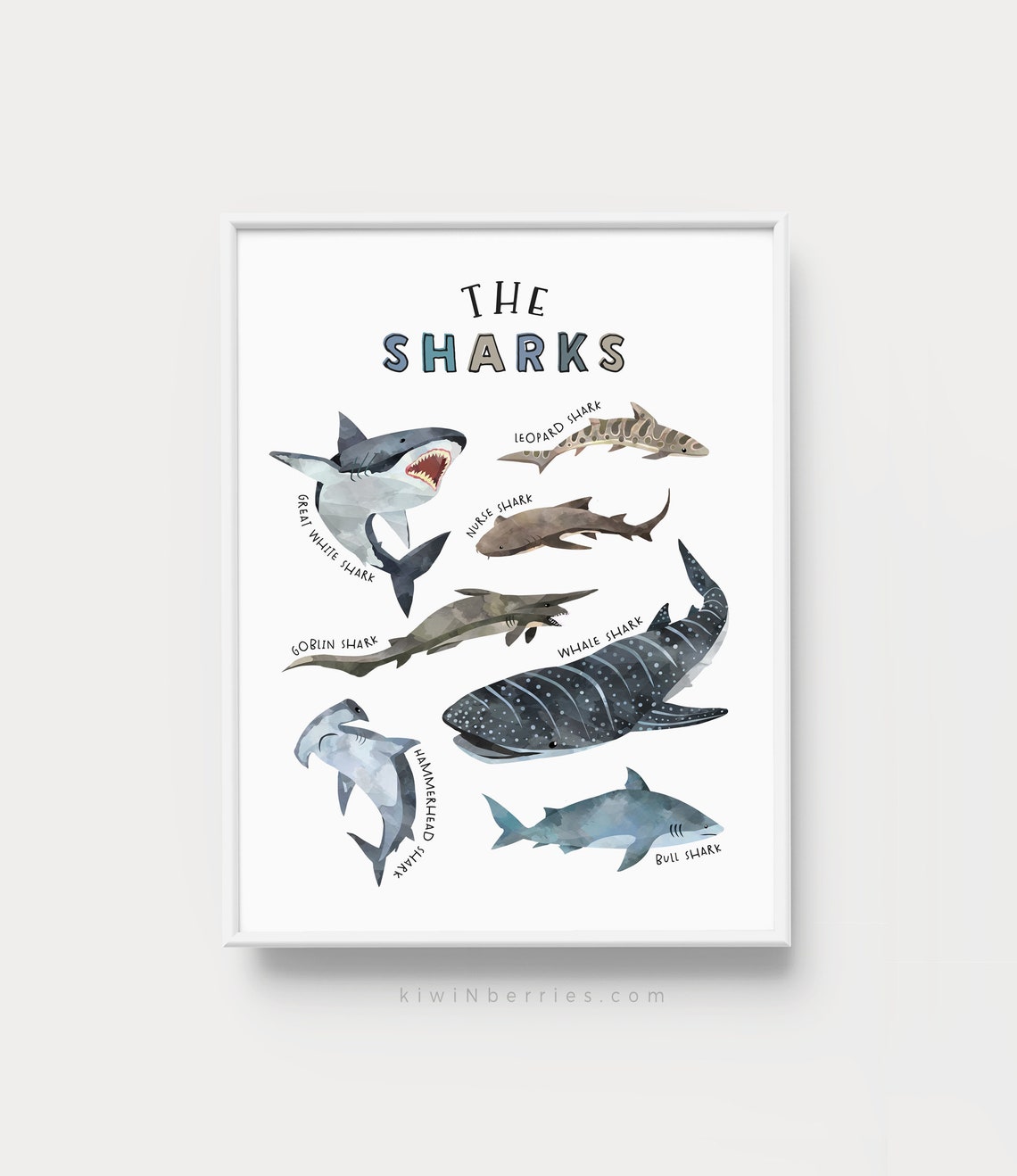 Sharks Wall Art Printable Shark Chart Shark Species Art - Etsy