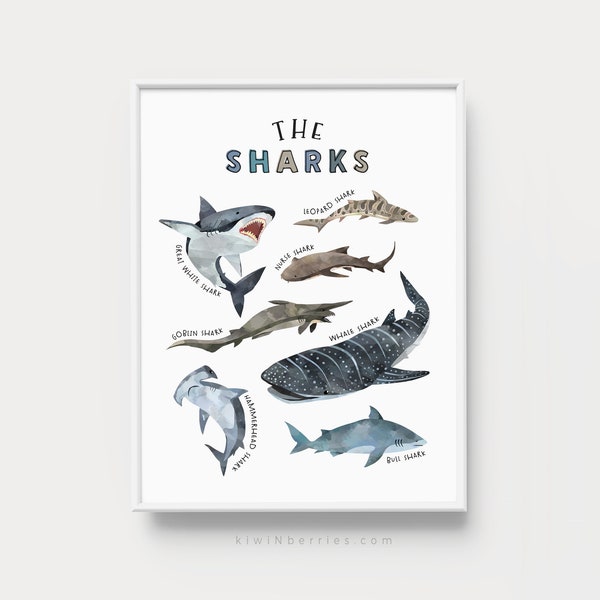 Shark Wall Art - Etsy