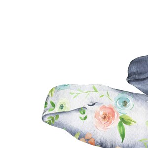 Beluga Print - Beluga Whale Wall Art - Nautical Decor - Oceanic Art ...