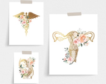 Midwife Office Decor | Etsy