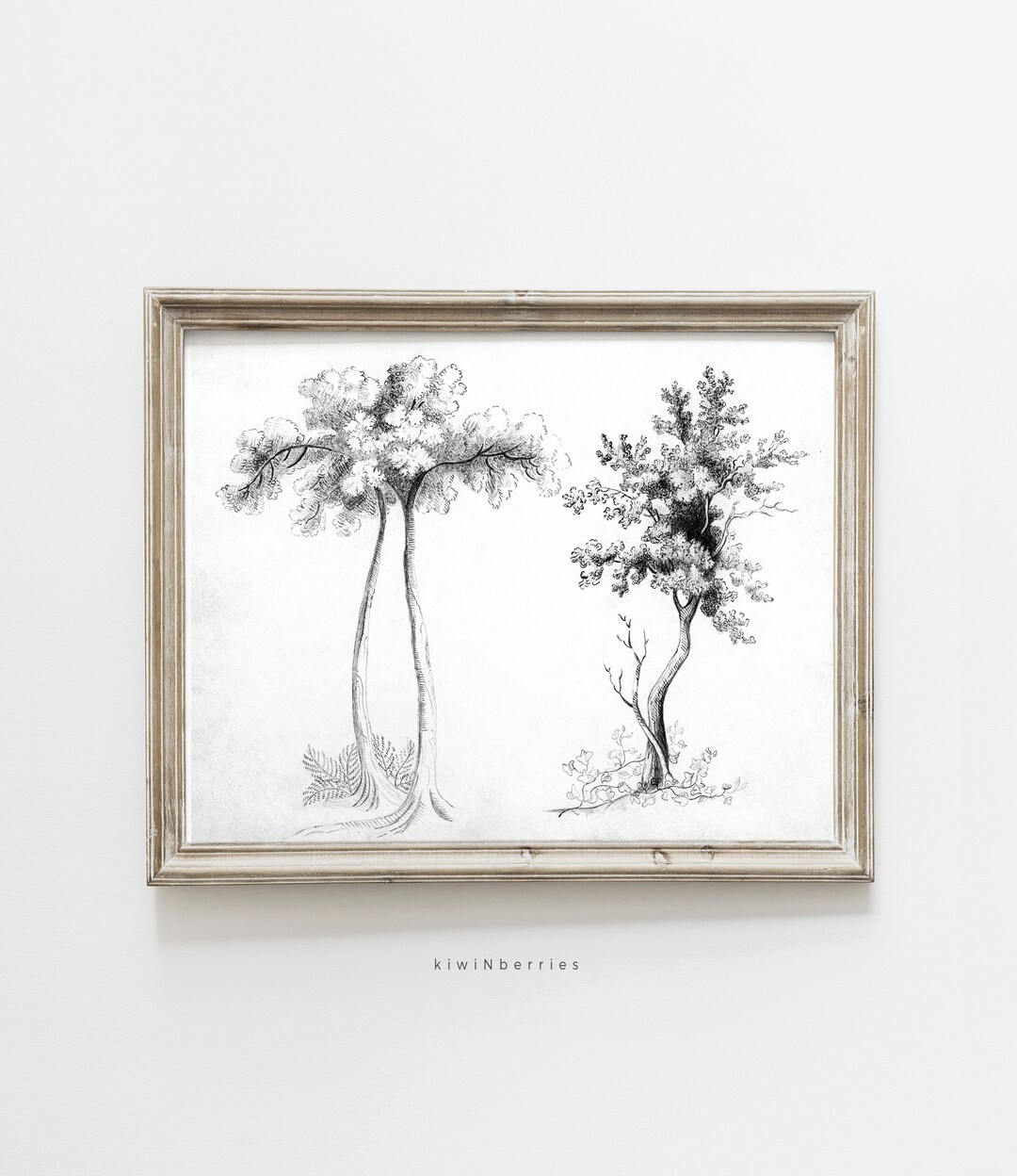 Vintage Drawing, Trees Antique Art, Vintage Print, Countryside ...
