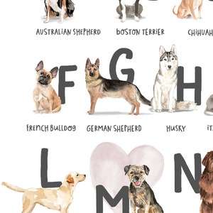 Printable Dog Alphabet, A to Z Dog Breeds Print, Dog Alphabet Poster ...
